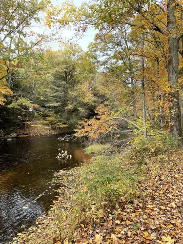 Best Hikes and Trails in Storrs Mansfield | AllTrails