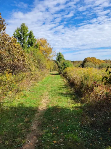 Best Hikes and Trails in Morgan Run Environmental Area | AllTrails