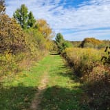 Morgan Run Natural Environmental Area Trails, Maryland - 383 Reviews ...
