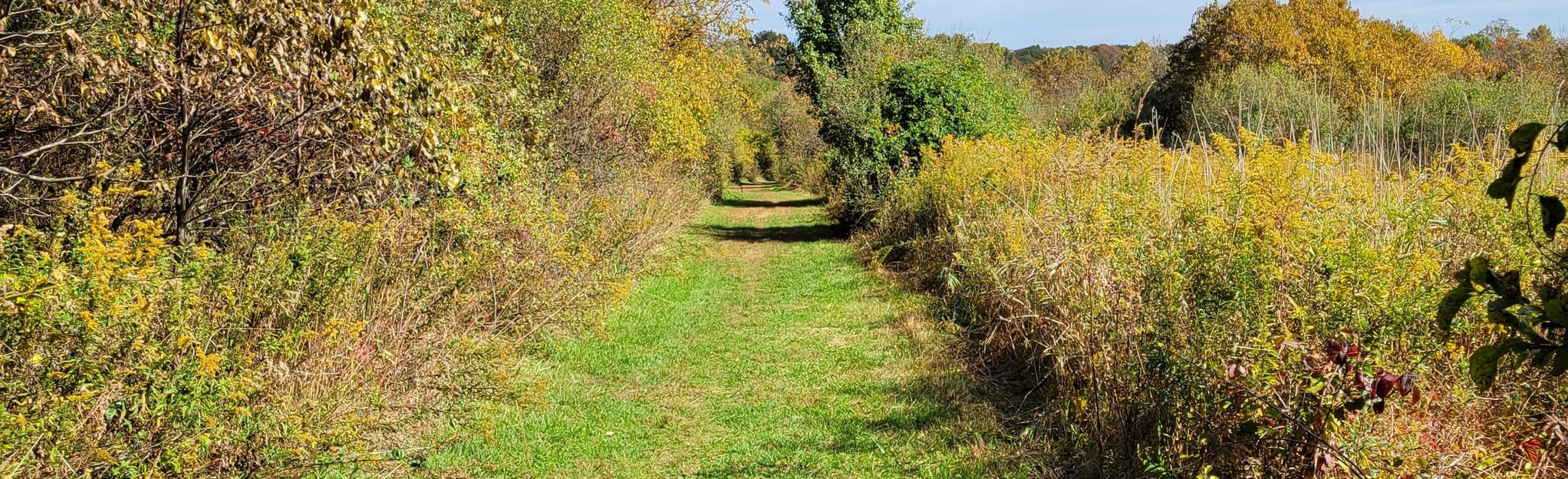 Morgan Run Natural Environmental Area Trails, Maryland - 316 Reviews ...