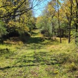 Morgan Run Natural Environmental Area Trails, Maryland - 383 Reviews ...