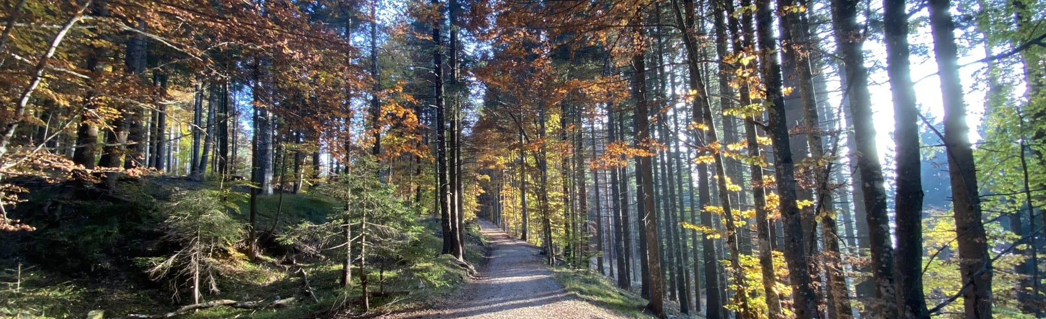 Serrada - Carpenada - Rifugio Paradiso - Passo Sommo | Map, Guide ...