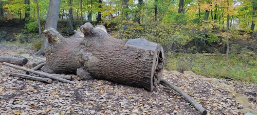 Best Hikes and Trails in Shaker Lakes Park | AllTrails