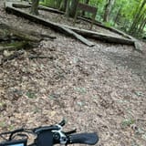 Saunders Springs Nature Preserve Loop, Kentucky - 399 Reviews, Map ...