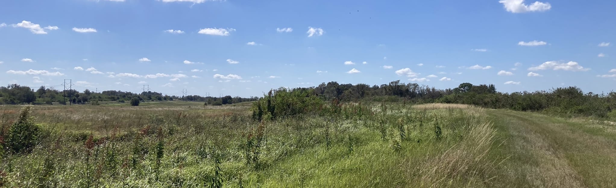 Seven Wetlands 1 Loop via Woodstork Gate: 21 Reviews, Map - Florida ...