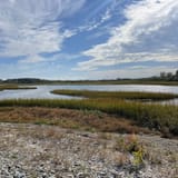 Fogland Beach, Rhode Island - 41 Reviews, Map | AllTrails
