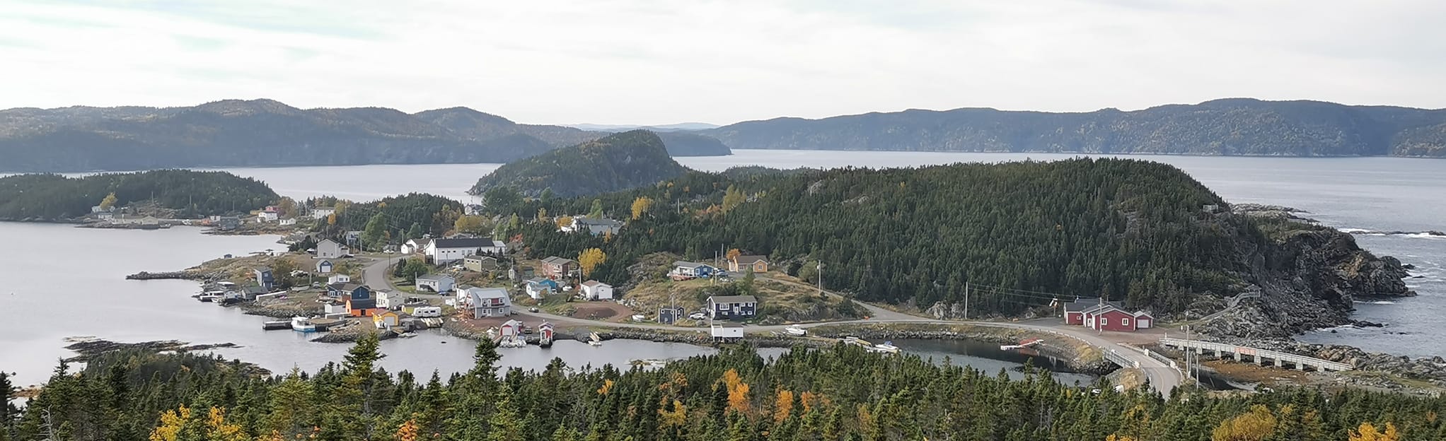 Burnt Lookout via Flagstaff Trail: 4 Reviews, Map - Newfoundland and ...