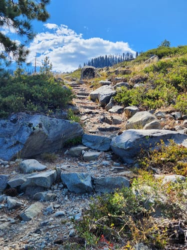 2023 Best Walking Trails in Berry Creek | AllTrails