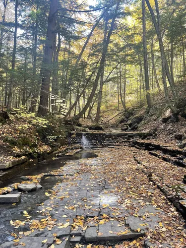 Best Hikes and Trails in Plotter Kill Nature Preserve | AllTrails