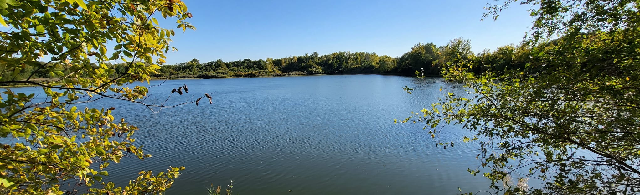 River Bend Forest Preserve Double Loop: 107 Reviews, Map - Illinois ...