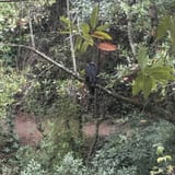 Old Cañon Trail and Sausal Creek Loop, California - 478 Reviews, Map ...