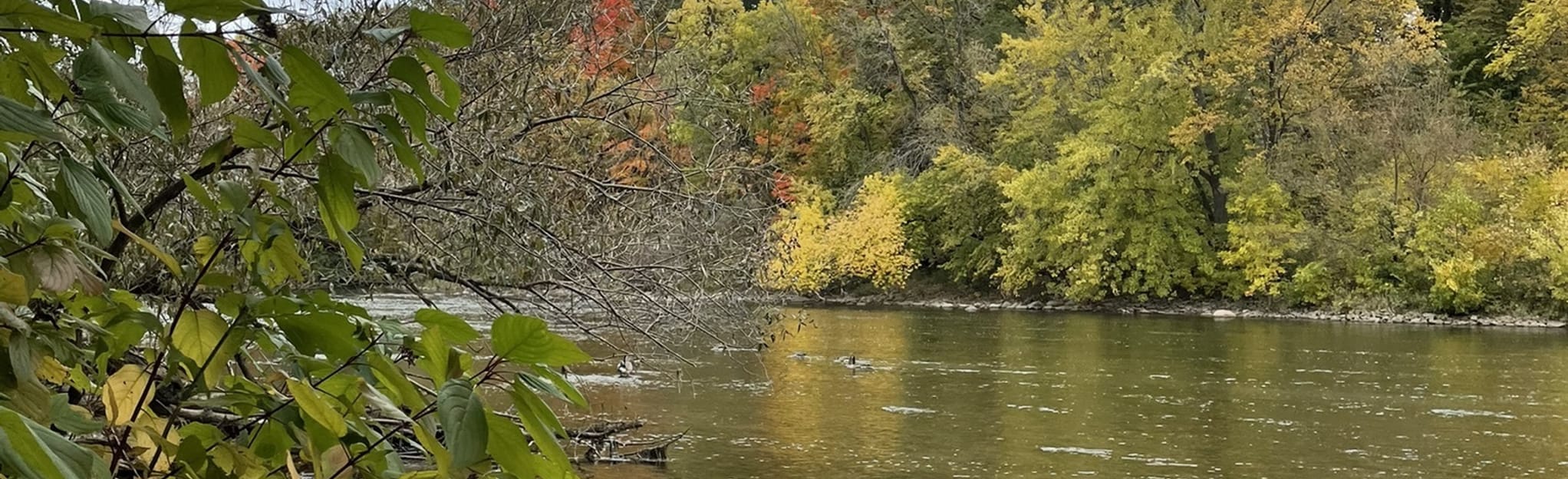 Milwaukee River Trail: Kern Park to Beerline Trail: 100 Fotos ...