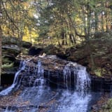 Springfield Falls, Pennsylvania - 124 Reviews, Map | AllTrails