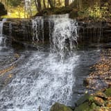 Springfield Falls, Pennsylvania - 124 Reviews, Map | AllTrails