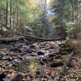 Springfield Falls, Pennsylvania - 124 Reviews, Map | AllTrails