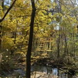 Springfield Falls, Pennsylvania - 124 Reviews, Map | AllTrails