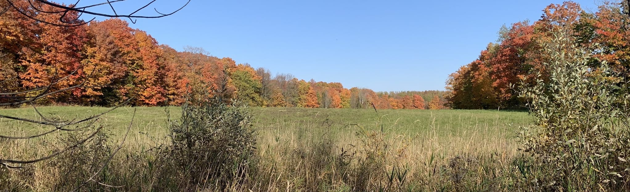 Keyhole Trail from 12&13 Sideroad, Ontario, Canada - 49 Reviews, Map ...