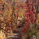 Maple Canyon to Whiting Campground, Utah - 385 Reviews, Map | AllTrails