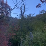 Burch Creek Trail, Utah - 663 Reviews, Map | AllTrails