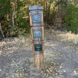 Burch Creek Trail, Utah - 663 Reviews, Map | AllTrails