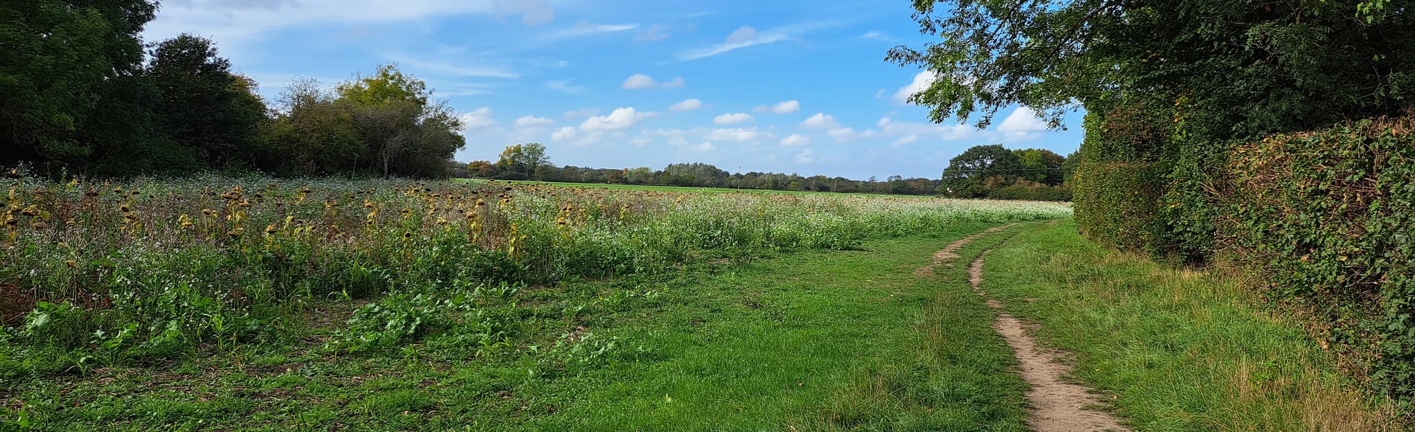 Hurst Village and River Loddon Circular, Berkshire, England - 67 ...