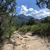 Rincon Peak Trail, Arizona - 159 Reviews, Map | AllTrails