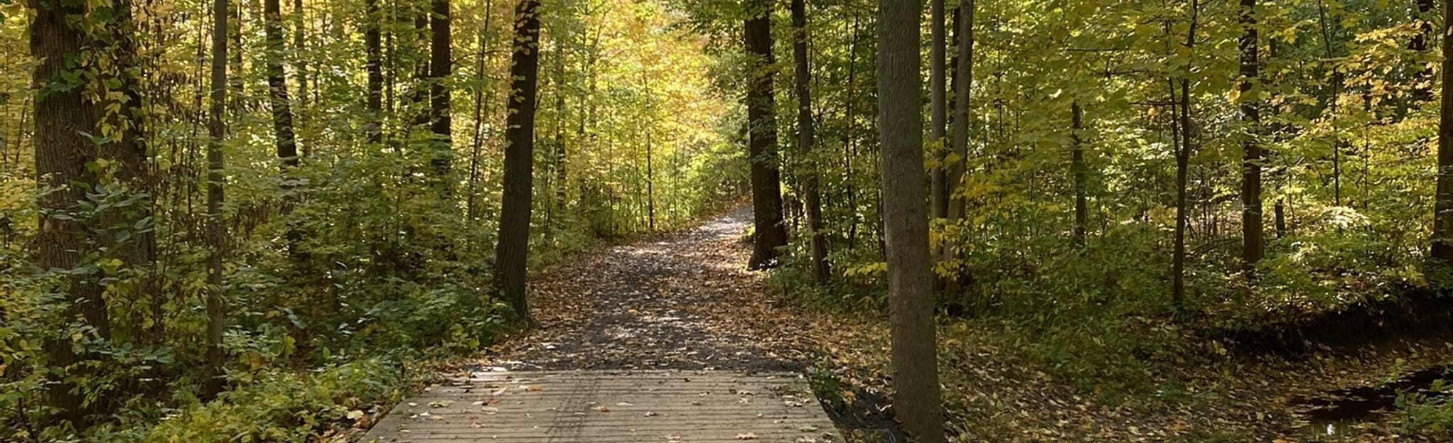 Parma Park Nature Trails: 61 Reviews, Map - New York | AllTrails