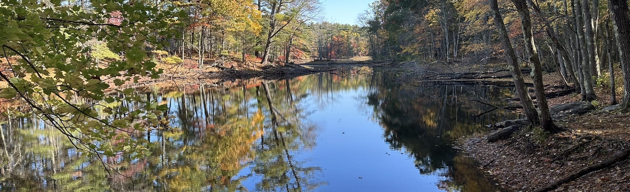 Agawam Loop Trail: 108 Reviews, 585 Photos, Map - Massachusetts | AllTrails