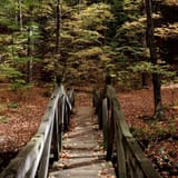 Bee Brook Loop, Connecticut - 940 Reviews, Map | AllTrails