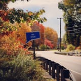 Bee Brook Loop, Connecticut - 940 Reviews, Map | AllTrails