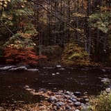 Bee Brook Loop, Connecticut - 940 Reviews, Map | AllTrails