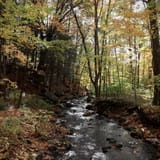 Bee Brook Loop, Connecticut - 940 Reviews, Map | AllTrails