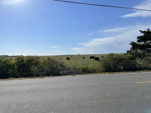 Best Hikes and Trails in Katama Farm | AllTrails