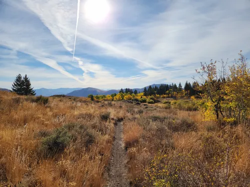 10 Best Forest Trails in Hailey | AllTrails