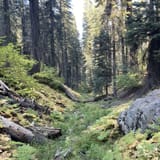 Muir Grove Trail, California - 330 Reviews, Map | AllTrails