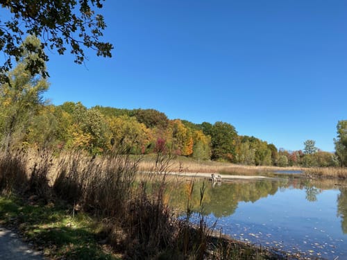 2023 Best trails in Hawk Woods Nature Center | AllTrails