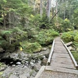 Pinnacle Lake Trail, Washington - 292 Reviews, Map | AllTrails