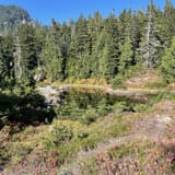 Pinnacle Lake Trail, Washington - 292 Reviews, Map | AllTrails