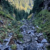 Pinnacle Lake Trail, Washington - 292 Reviews, Map | AllTrails