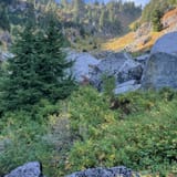 Pinnacle Lake Trail, Washington - 306 Reviews, Map | AllTrails