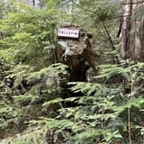 Pinnacle Lake Trail, Washington - 337 Reviews, Map | AllTrails