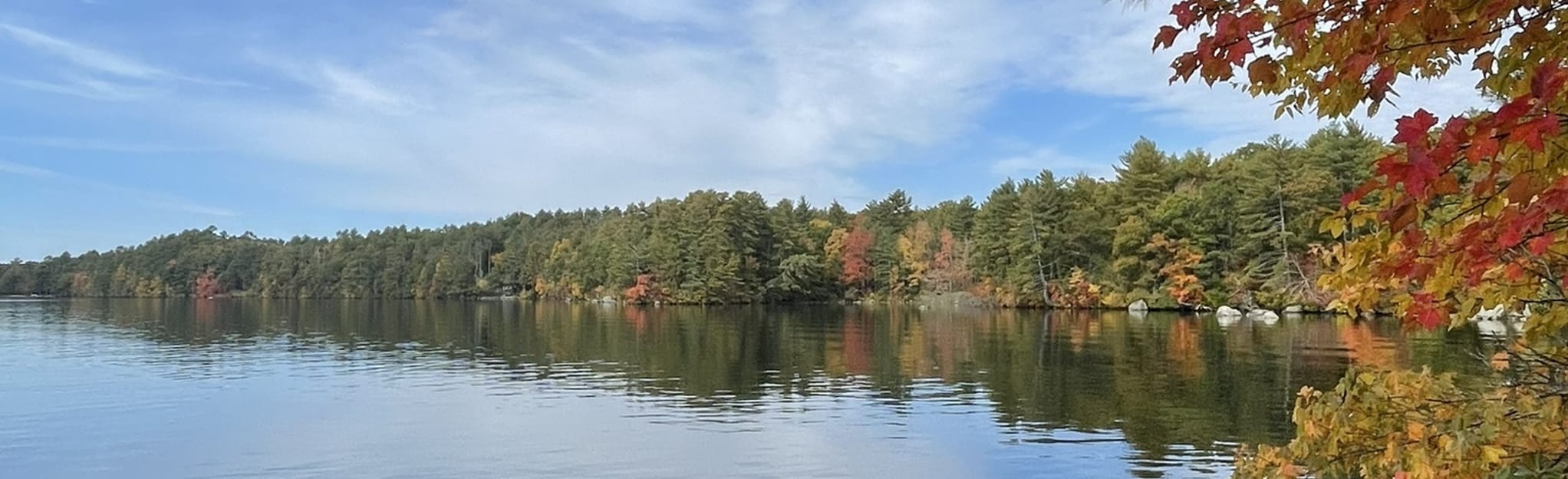 Pachaug Trail: 386 Reviews, Map - Rhode Island | AllTrails