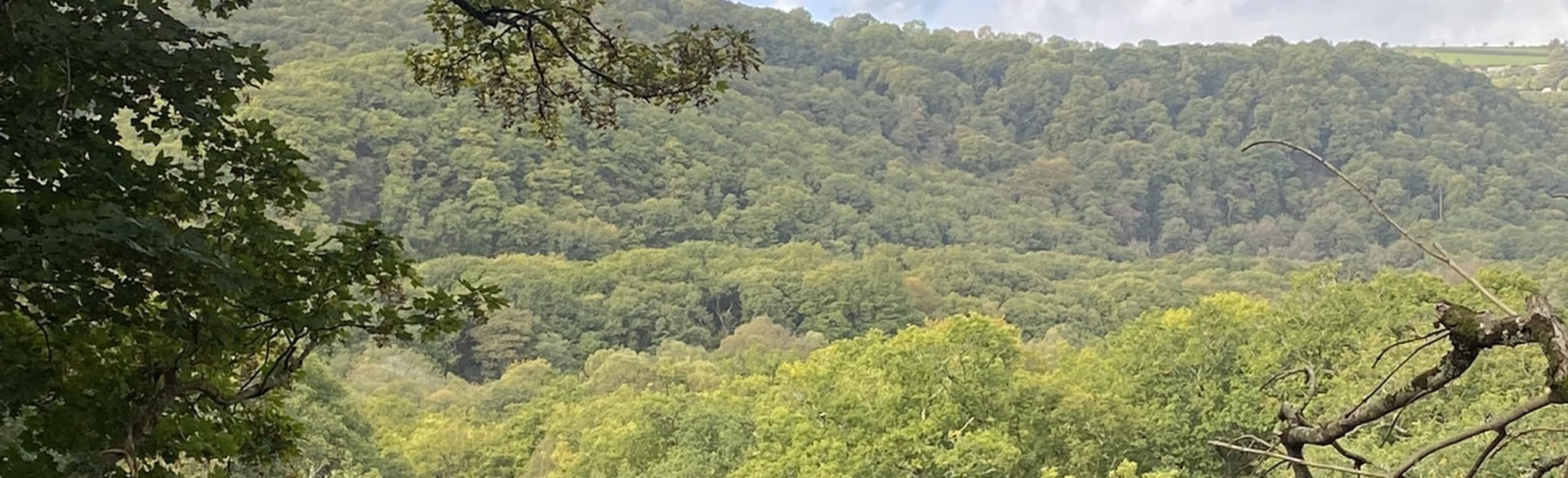 Holne to Haytor Vale Walk: 2 Reviews, Map - Devon, England | AllTrails