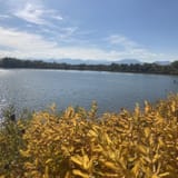 Waneka Lake, Colorado - 599 Reviews, Map | AllTrails