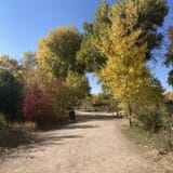 Waneka Lake, Colorado - 599 Reviews, Map | AllTrails