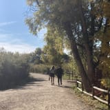 Waneka Lake, Colorado - 599 Reviews, Map | AllTrails