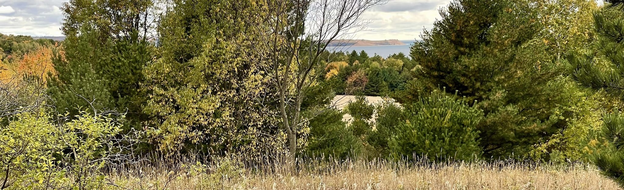 Bay View Hiking Trails, Michigan - 244 Reviews, Map | AllTrails