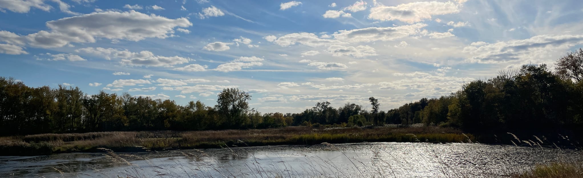 Monee Reservoir : 93 Reviews, Map - Illinois | AllTrails