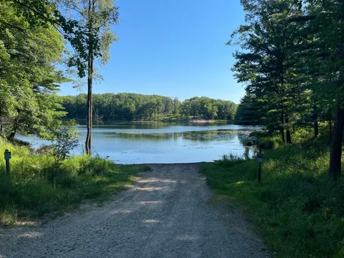 Best Forest Trails in Gladwin | AllTrails