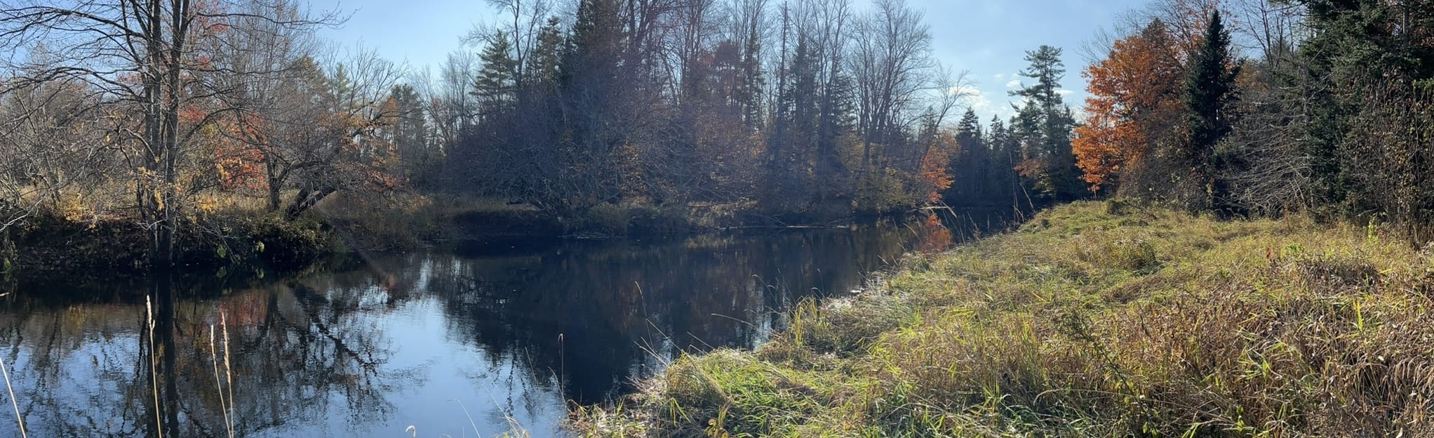 Appleton Preserve Trail, Maine - 65 Reviews, Map | AllTrails